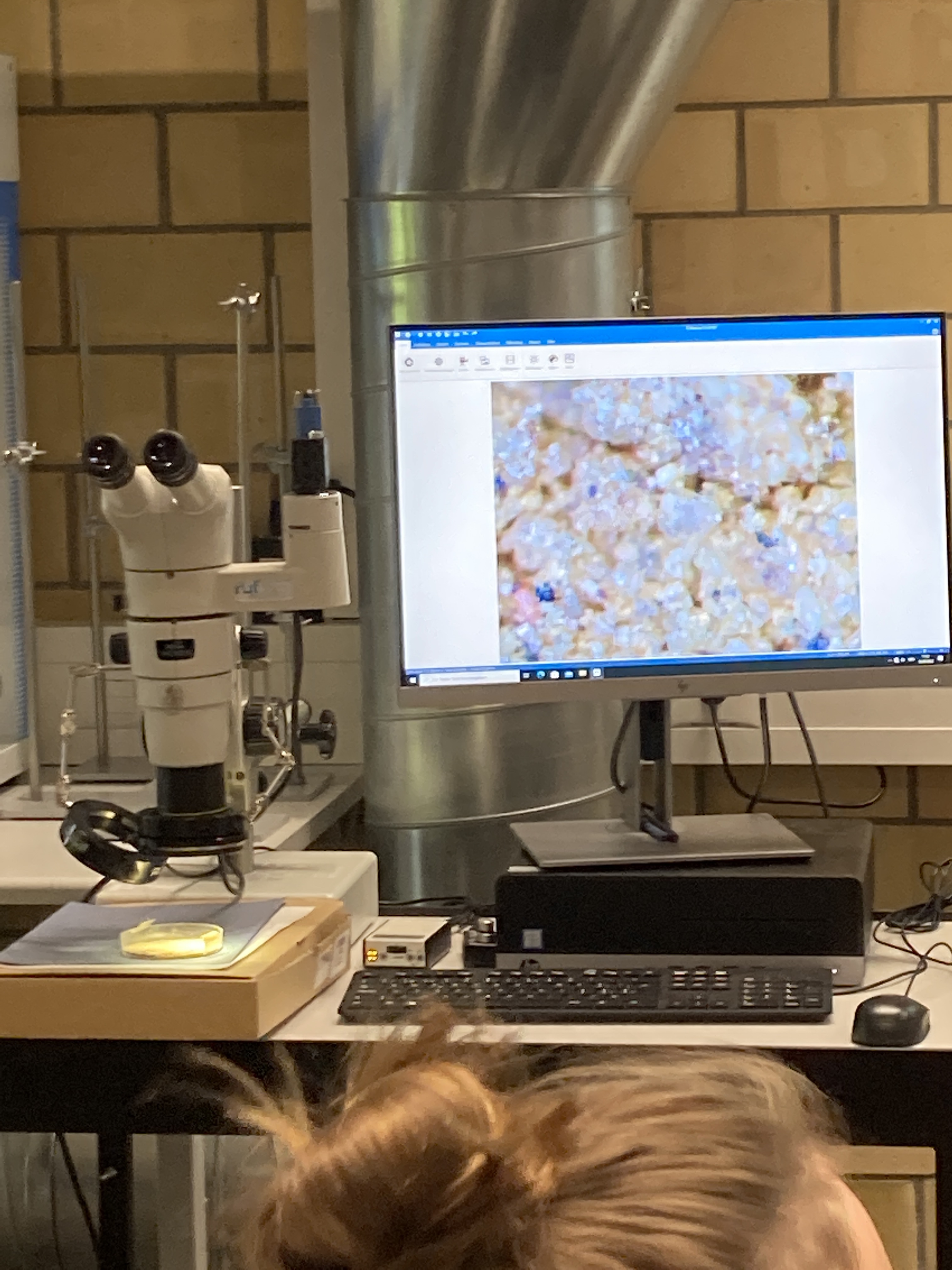 ScienceLab Workshop: der Boden – Homeschooling in der Schweiz